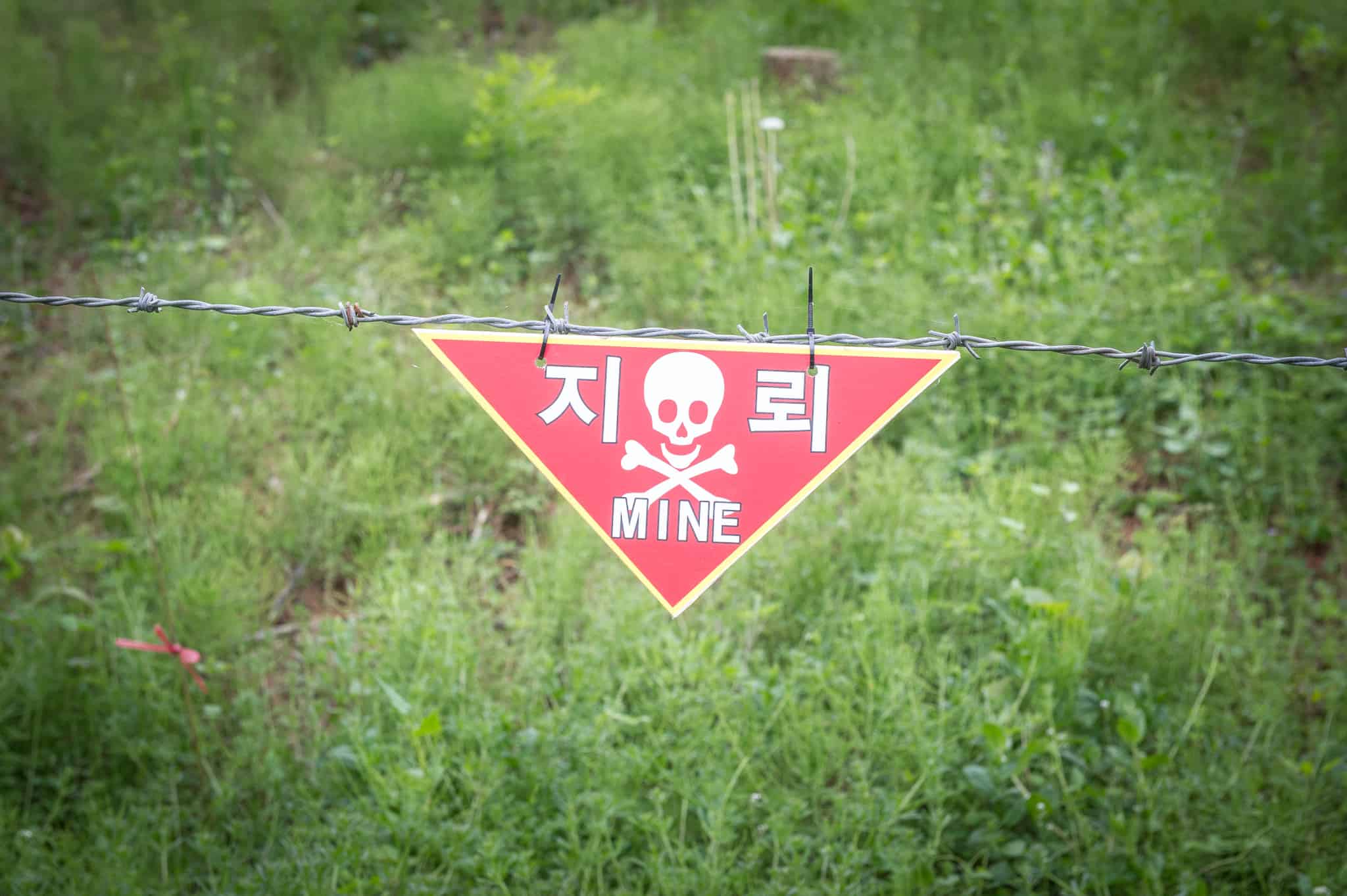 What is the DMZ in Korea & is it Safe to Visit? - VIP Travel