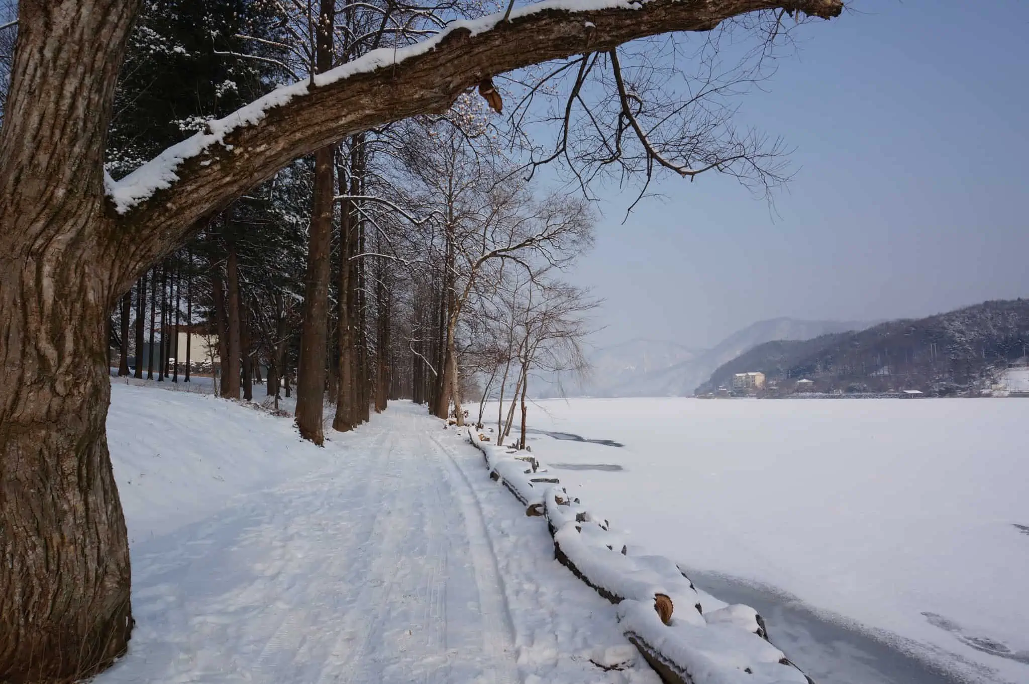 Nami Island Winter tour | 1 Day Snow Package (2025) - VIP Travel