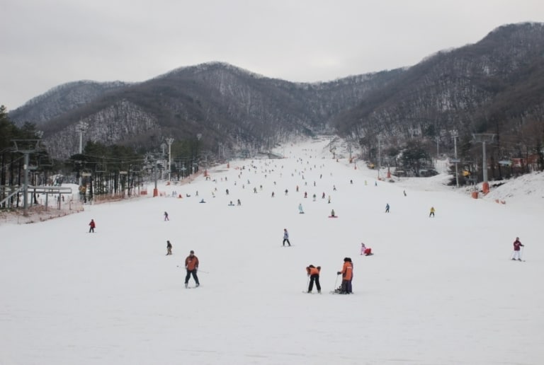 Jisan Ski Resort Package 2026 | Popular 1 Day tour - VIP Travel