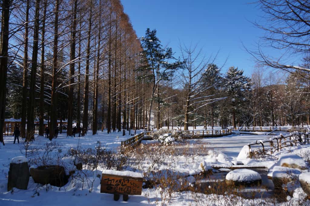 Nami Island Winter tour | 1 Day Snow Package (2025) - VIP Travel